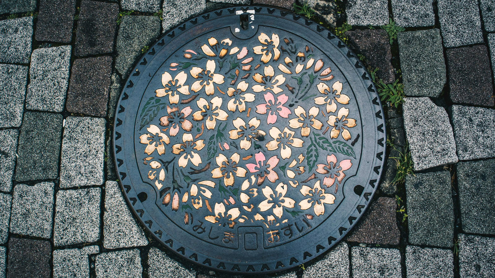 Manhole Covers of the World: Art & Aesthetics at our Feet | Drainfast Ltd